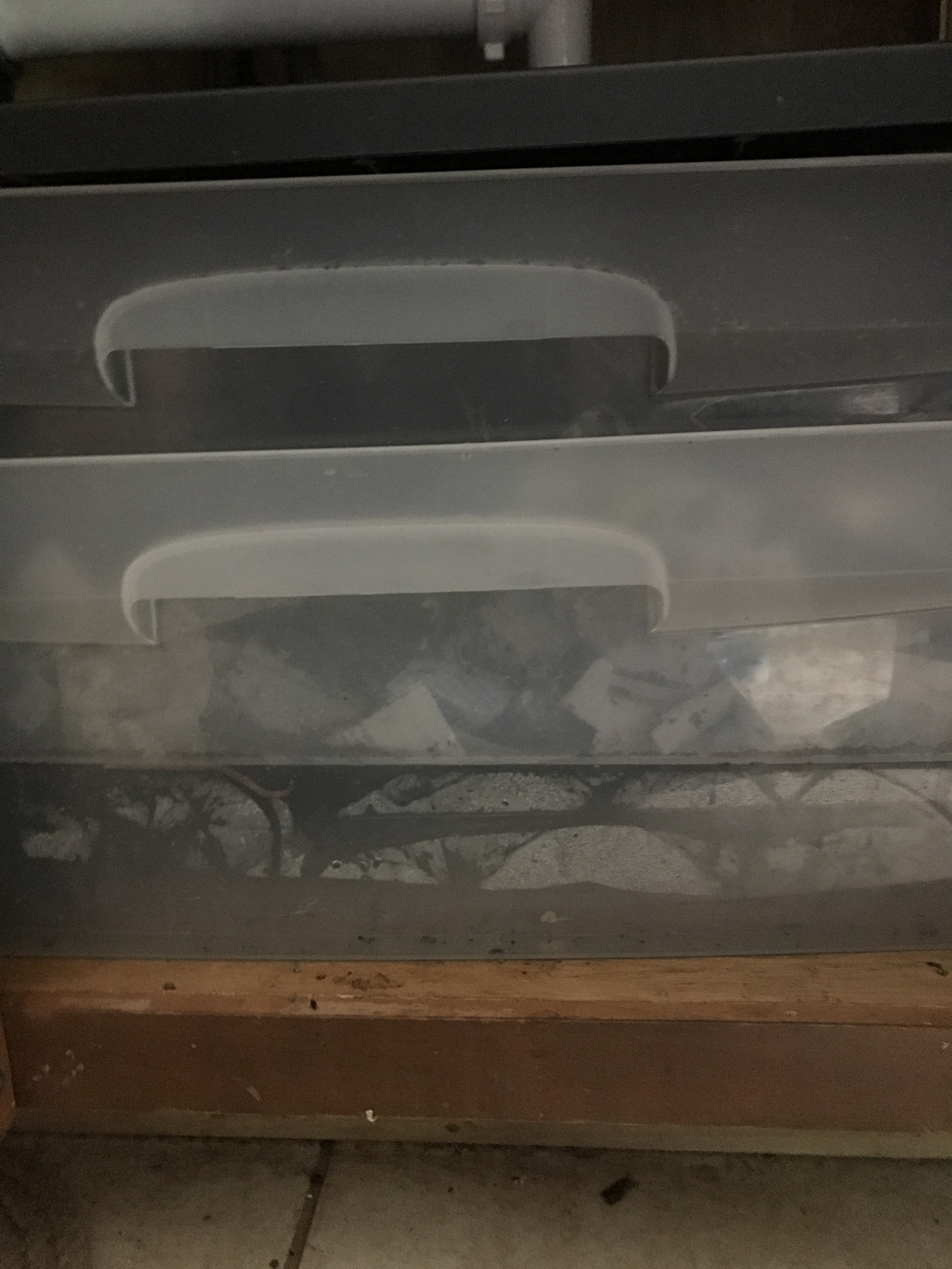 Vermi-(Wormy!) Composting – The Hiding Place